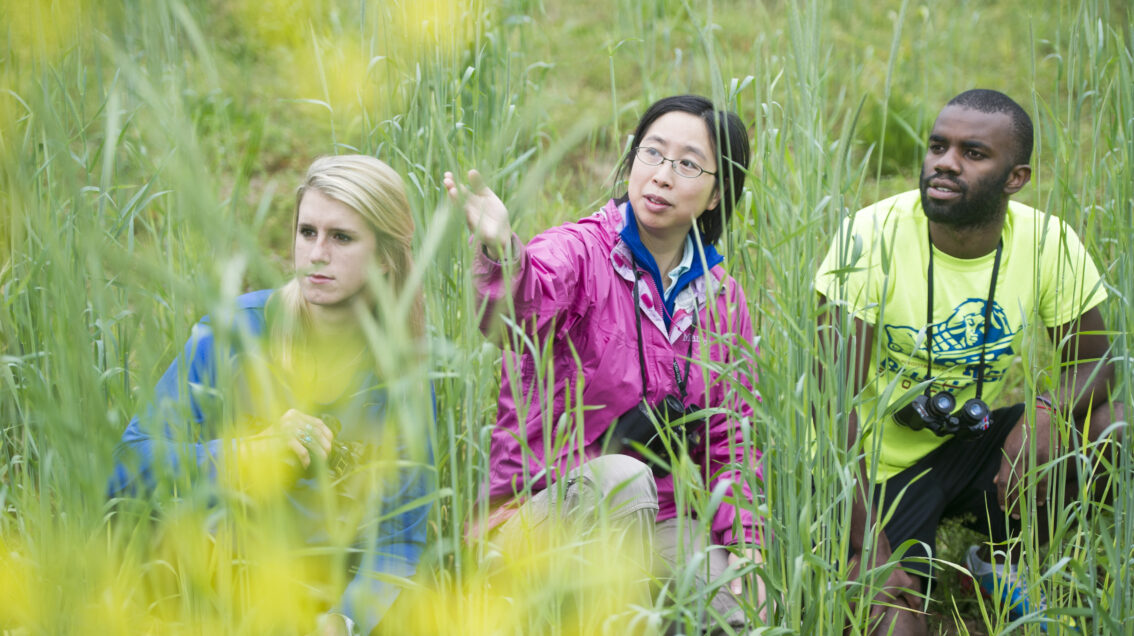 Launching into the future: Helping college students figure out what’s ...